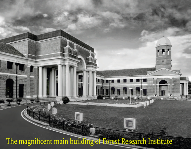 The Institute