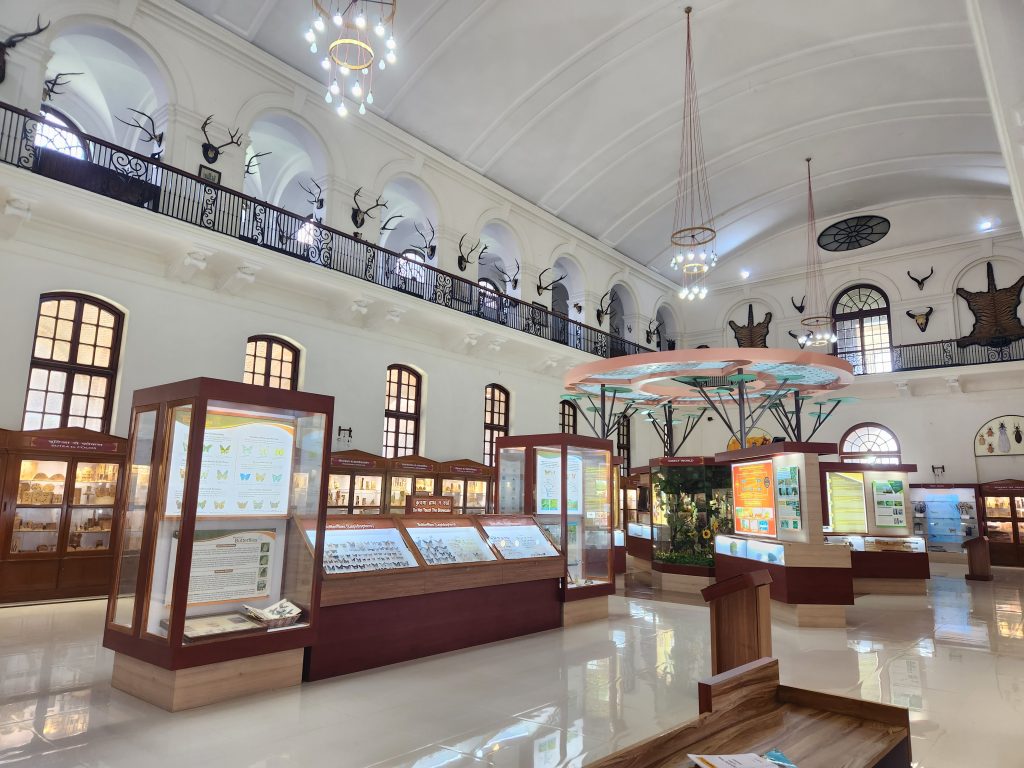 Entomology Museum