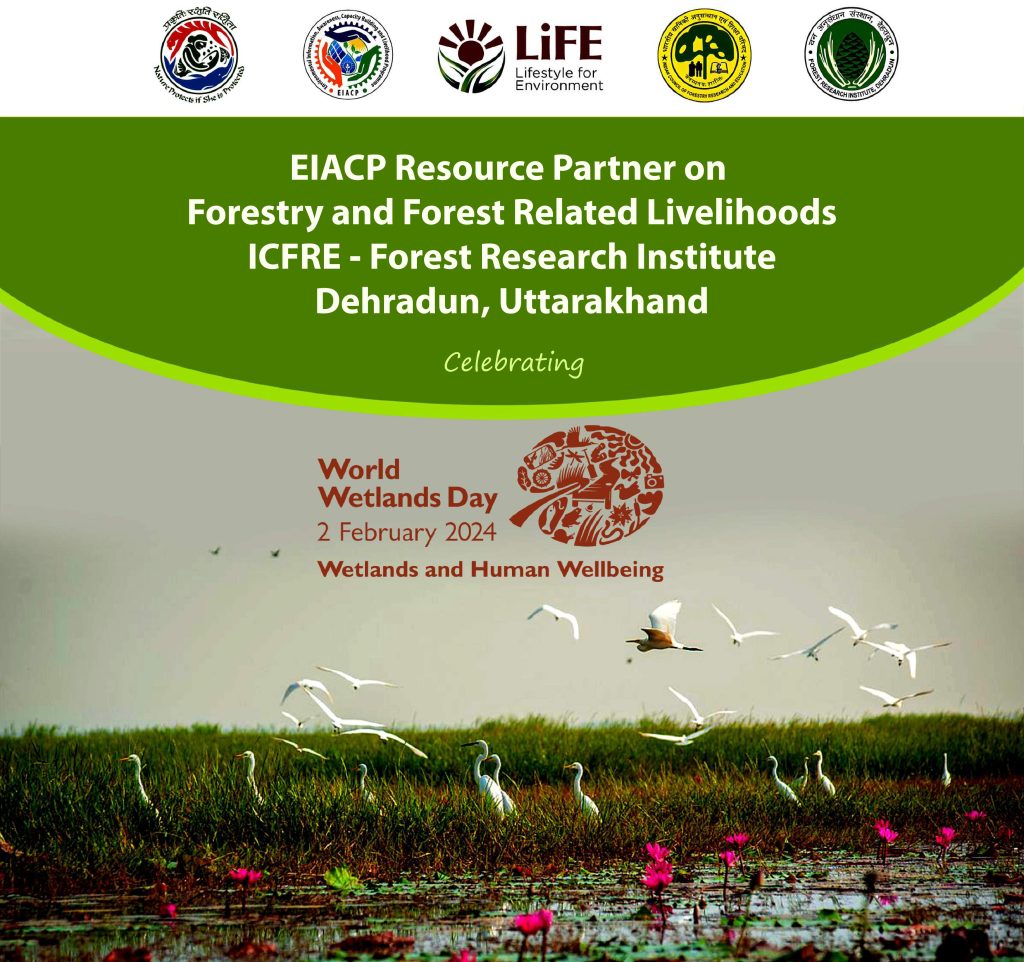 Infographics for World Wetlands Day 2024 by FRI EIACP