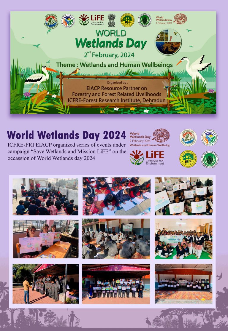 Infographics for World Wetlands Day 2024 by FRI EIACP